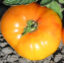 Tomato - Old German seeds - Heirloom Seeds Canada