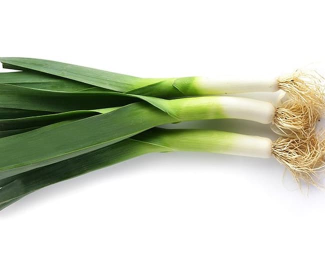 Leek - Large Musselburgh seeds - Heirloom Seeds Canada